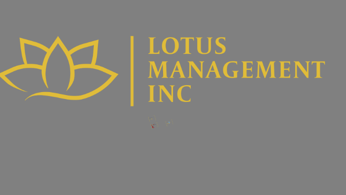 Lotus Management Structure by pratima patel on Prezi
