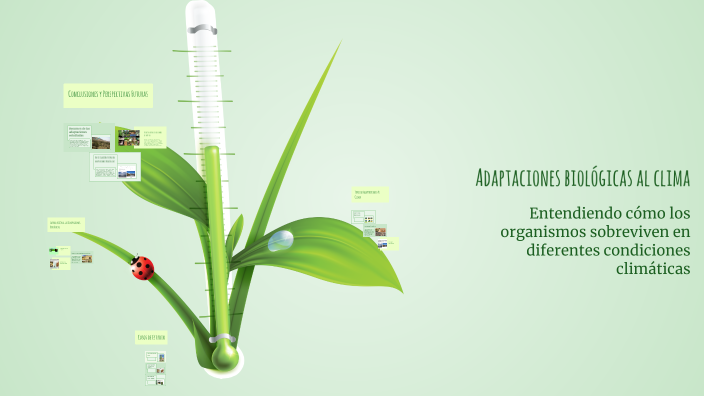 Adaptaciones biológicas al clima by Diego Eduardo on Prezi