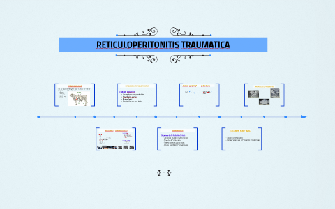 RETICULOPERITONITIS TRAUMATICA by yirleza yurani macias pantoja on Prezi