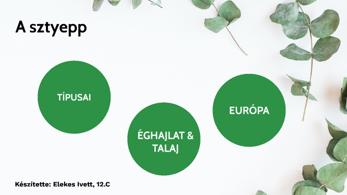 A sztyepp by Karoly Elekes on Prezi