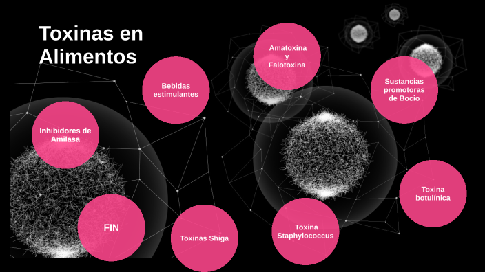 Toxinas en Alimentos by Dolores Gomez on Prezi