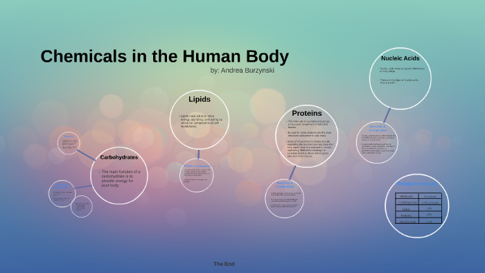 Chemicals in the Human Body by andrea burzynski on Prezi