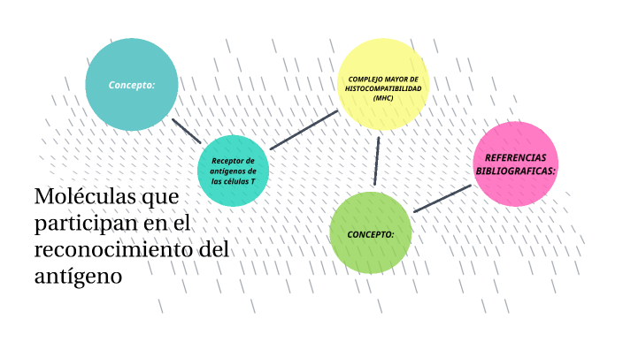 Moléculas que participan en el reconocimiento del antígeno by Eldy ...
