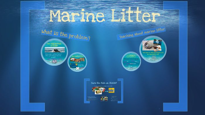 Marine litter activity by Sophie Nicol on Prezi