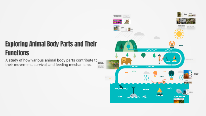 Exploring Animal Body Parts and Their Functions by Judy De Guzman on Prezi