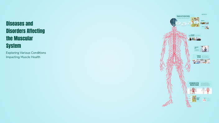 Diseases and Disorders Affecting the Muscular System by miguel ...