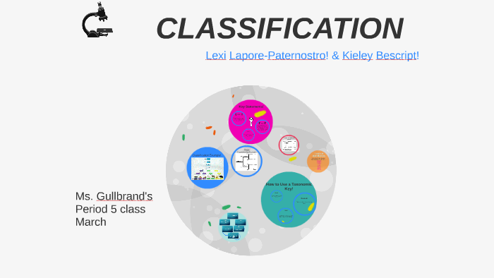CLASSIFICATION by Lexi Lapore-Paternostro on Prezi