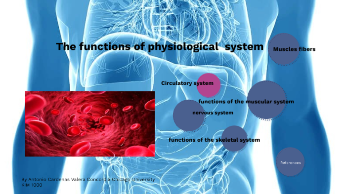 the functions of physiological systems by Antonio Cardenas Valera on Prezi