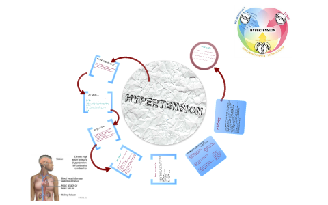 Hypertension-Anatomy by Addie Walters on Prezi