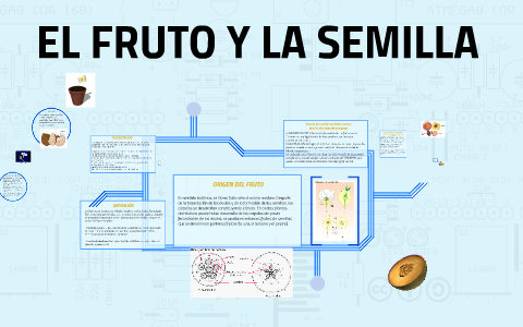 EL FRUTO Y LA SEMILLA by on Prezi