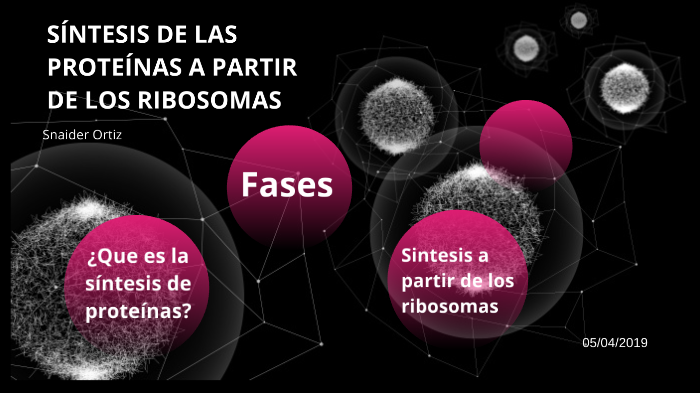 SINTESIS DE LAS PROTEINAS A PARTIR DE LOS RIBOSOMAS by Snaider Andres ...