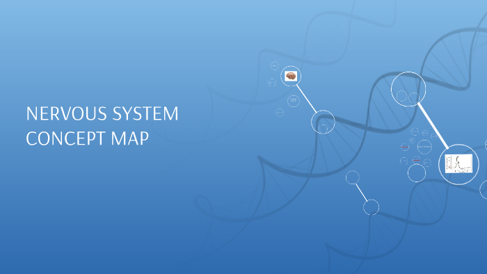 NERVOUS SYSTEM CONCEPT MAP by Chelsea Bevans on Prezi