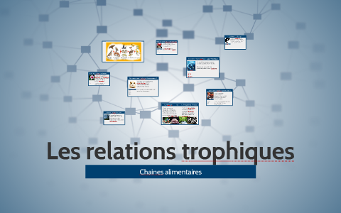 Les relations trophiques by Hugolin Jodoin-Michaud on Prezi