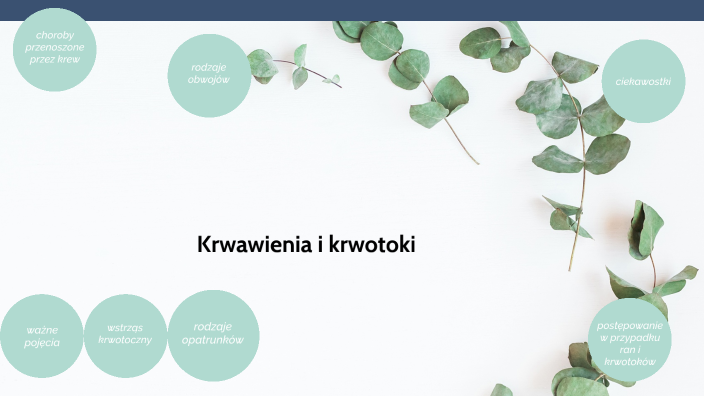 Krwawienia i krwotoki by Karol Domański on Prezi