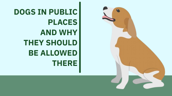 Dogs in Public Places - Persuasive Speech by Oliver Mauermann on Prezi