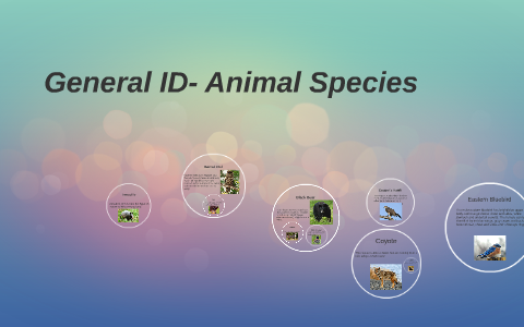 General ID- Animal Species by Kasey Melton on Prezi