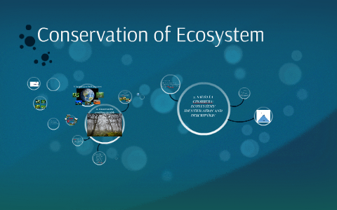 Conservation of Ecosystem by Camila Sanchez Jimenez