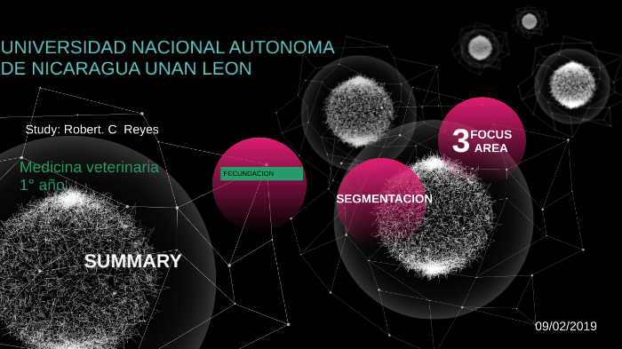 embryonic development of the dog by Roberto Carlos Reyes on Prezi