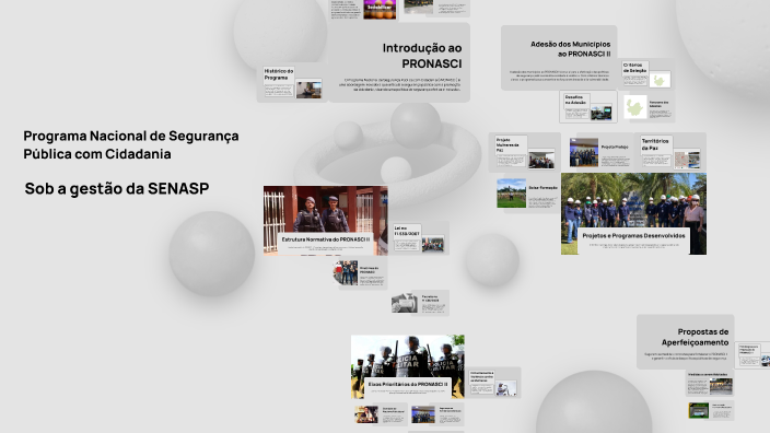 Programa Nacional de Segurança Pública com Cidadania by Tiago Martinez ...