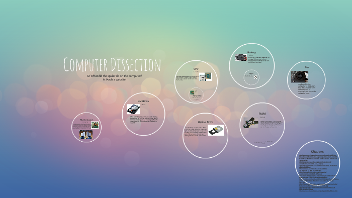 Computer Dissection by on Prezi
