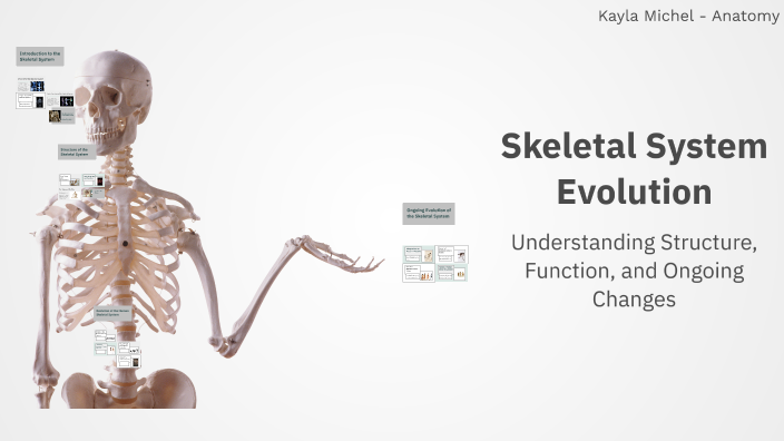 Skeletal System Evolution by Kayla Michel on Prezi