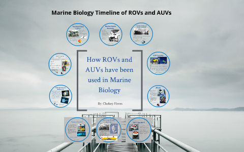 Marine Biology Timeline by Chelsey Flores on Prezi