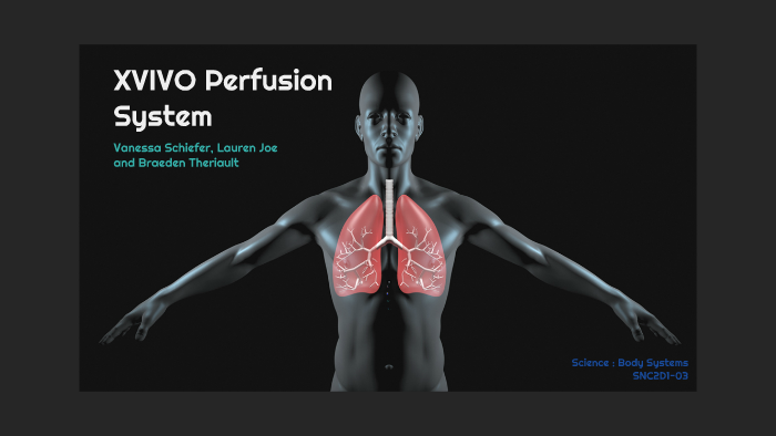 XVIVO Perfusion System by Vanessa S on Prezi