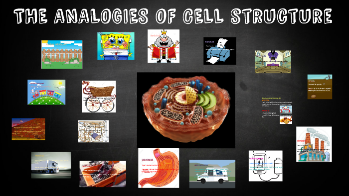 THE ANALOGIES OF CELL STRUCTURE by vincent edejer on Prezi