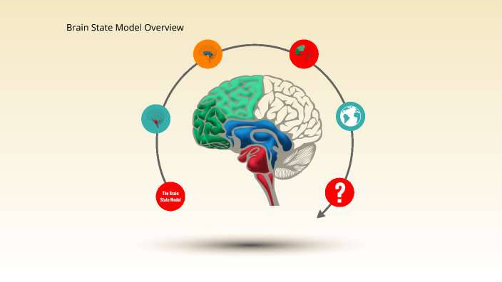 Brain State Model Overview By Rachelle Steele On Prezi