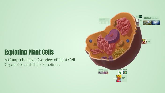 Exploring Plant Cells by Rafid 13 on Prezi