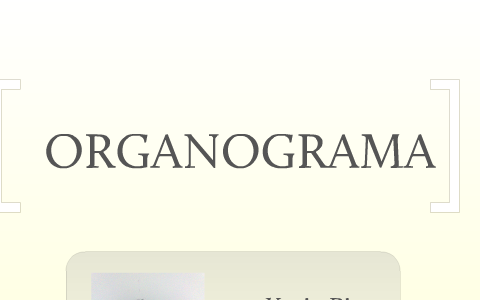 Organograma SIM by Lucio Mattos on Prezi