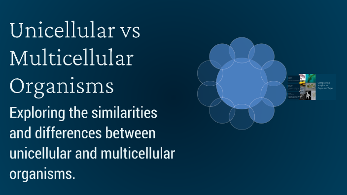 Unicellular vs Multicellular Organisms by jude daly on Prezi