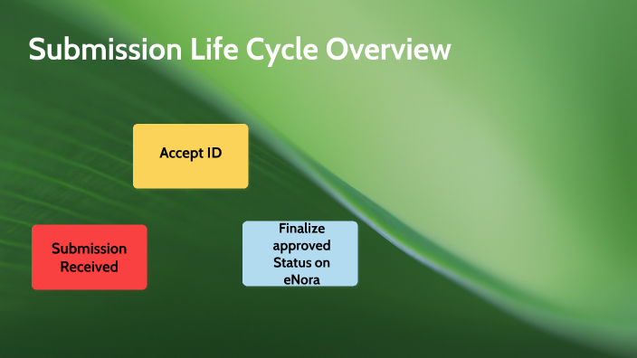 Submission Life Cycle Overvi by Zaraa Zoomerwalla on Prezi