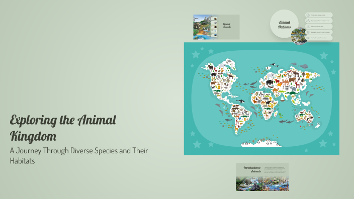 Exploring the Animal Kingdom by اسماء عوض الحراصية on Prezi