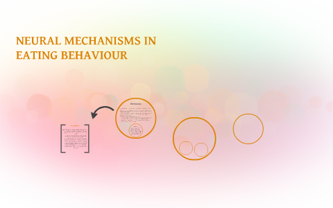 NEURAL MECHANISMS IN EATING BEHAVIOUR by Livvy Foster on Prezi