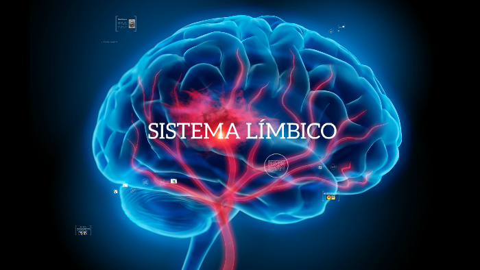 SISTEMA LIMBICO by Harold Fernández on Prezi