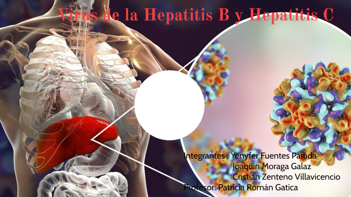 Virus de la Hepatitis B y C by Yenyfer Fuentes P on Prezi