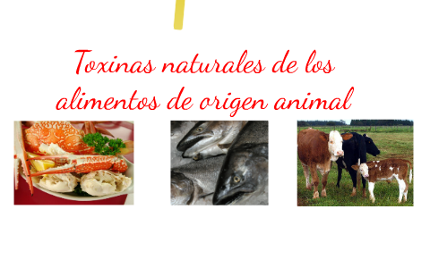 Toxinas de origen animal by karla de la torre on Prezi