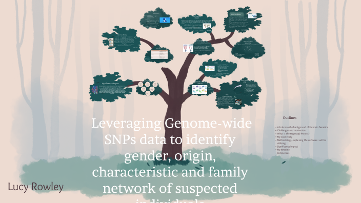 Dissertation presentation by lucy rowley on Prezi