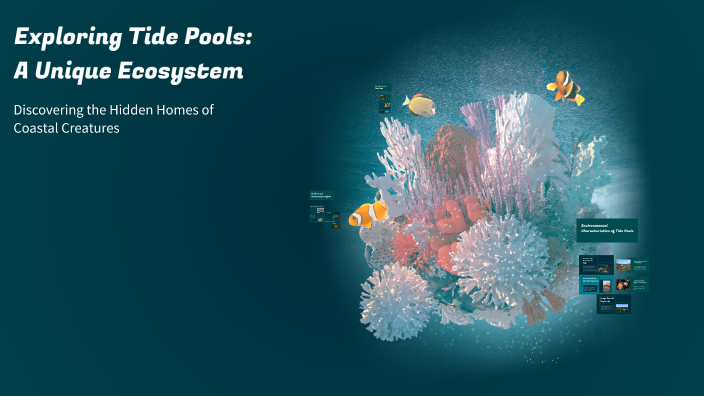 Exploring Tide Pools: A Unique Ecosystem by bryson Lewis on Prezi