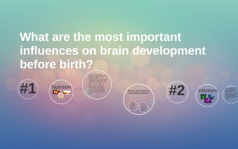 What are the most important influences on brain development? by Allison ...