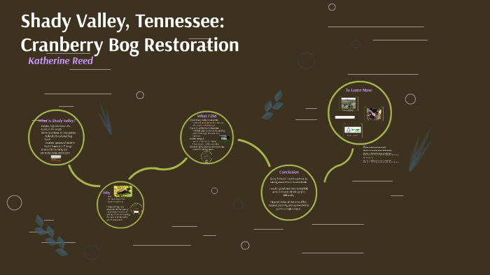 Shady Valley, Tennessee by Katherine Reed on Prezi