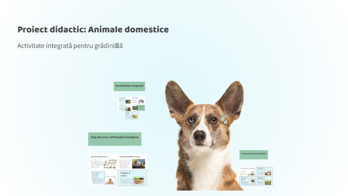 Proiect didactic: Animale domestice by Sain Daniela on Prezi