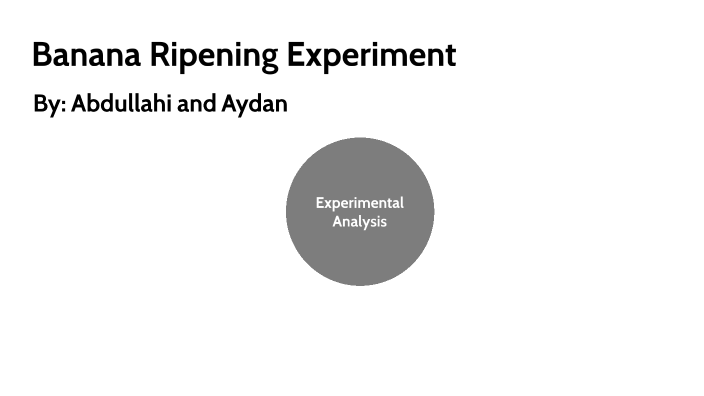 Banana Ripening Experiment by Abdullahi Hussein on Prezi