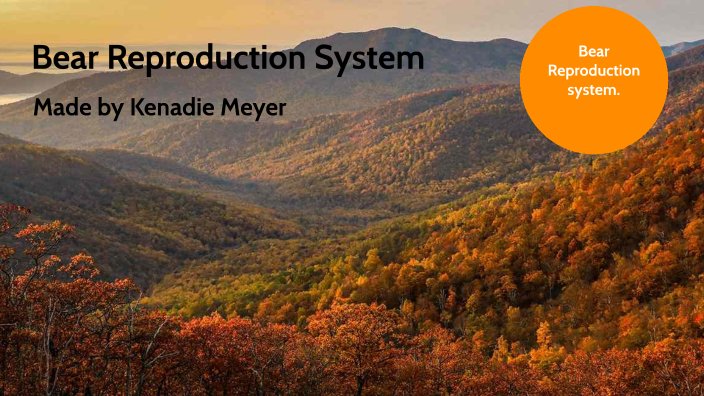 Bear-reproduction system by Kenadie Meyer on Prezi