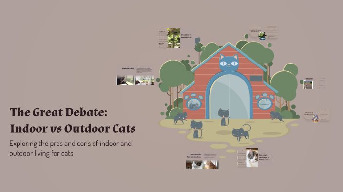 The Great Debate: Indoor vs Outdoor Cats by Bryn Bevers on Prezi