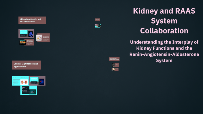 Kidney and RAAS System Collaboration by Safiya Kattaeva on Prezi