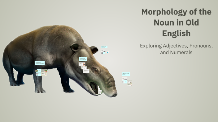 Morphology of the Noun in Old English by Jayrona Qudratova on Prezi