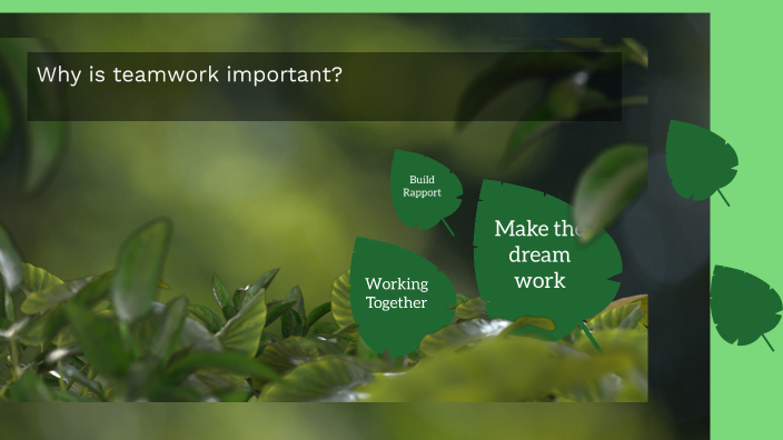 Teamwork! Yay Go Team! by James Grasso on Prezi