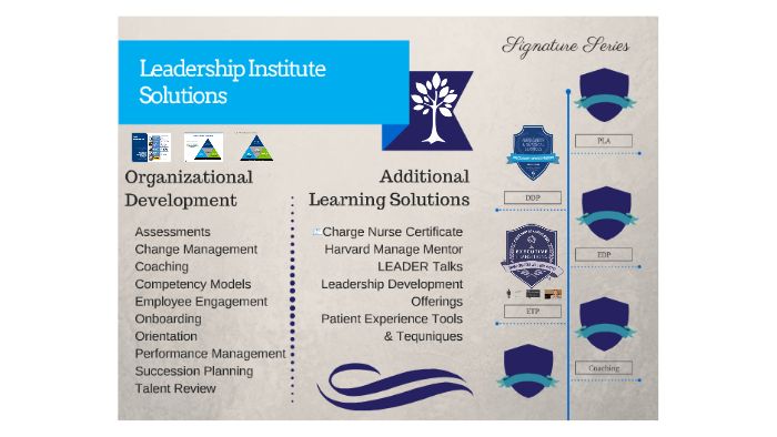 HCA Leadership Framework by Shai RAsmussen on Prezi